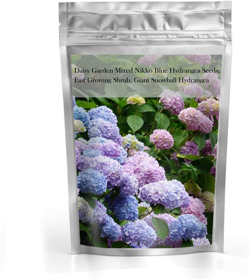 Mixed Blue Hydrangea Seeds 50, Fast Growing Shrub, Giant Snowball ...