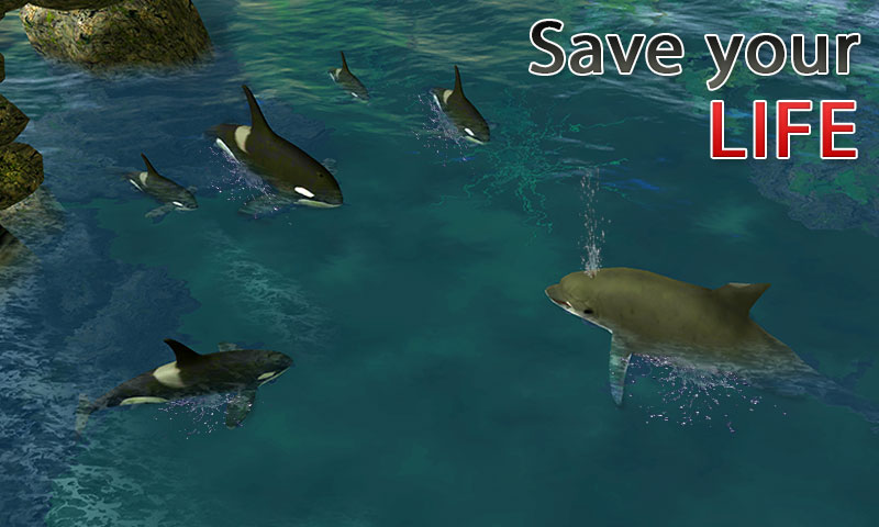 Dolphin Simulator 3D:Amazon.com:Appstore for Android