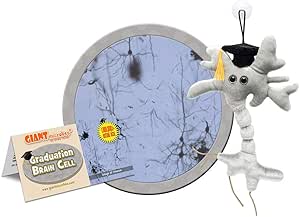 GIANTmicrobes Graduation Brain Cell Plush - Celebrate with Our ...