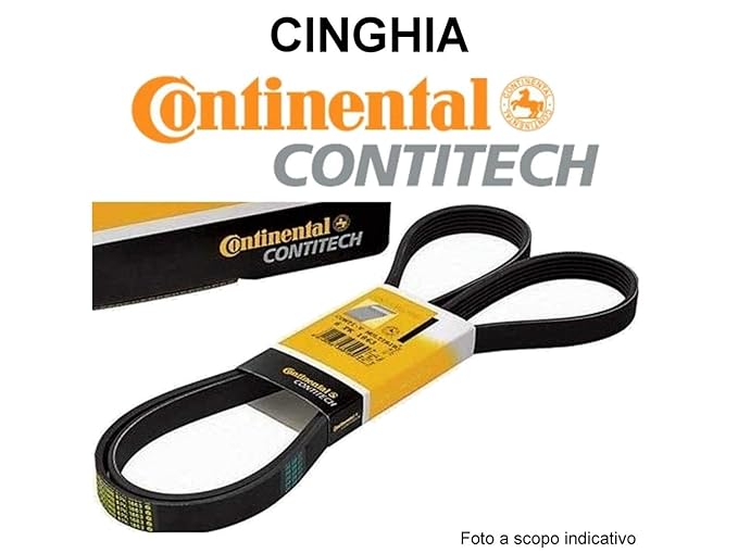 Contitech 6PK2260 V-Ribbed Belts: CONTITECH: Amazon.co.uk: Car & Motorbike