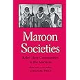 Maroon Societies: Rebel Slave Communities in the Americas: Richard ...