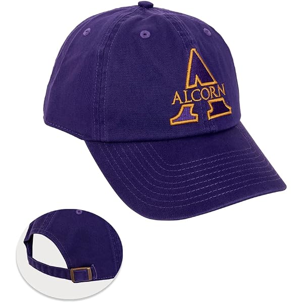Ualbany Merch Desert Cactus University At Albany Baseball Hat Great ...