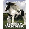 Picture Book Of Gypsy Vanner: Compelling Photos Of Gypsy Vanner ...