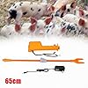 Electric Hot Cattle Prod, 65cm Electric Livestock Prod Stick ...