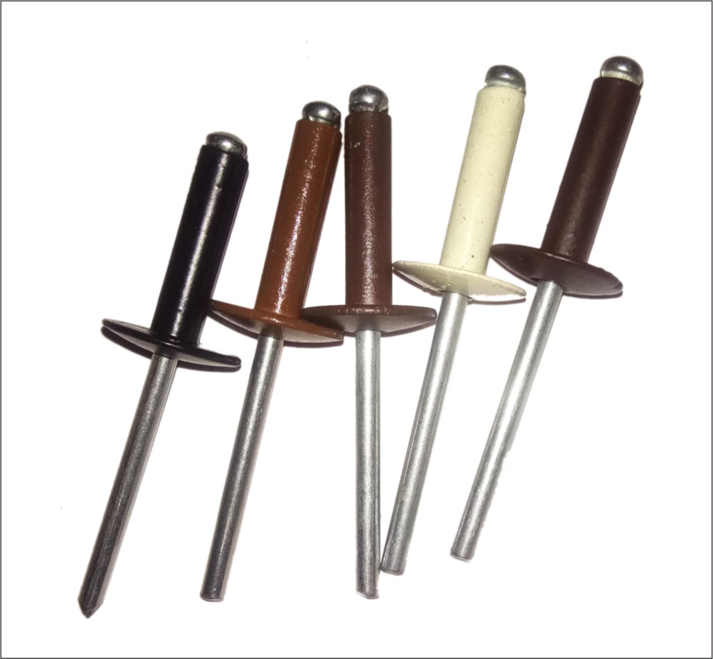 HPL Fundermax Rivets (48 * 19 * 14 MM, American Walnut (8016)): Amazon ...