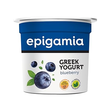 Epigamia Blueberry Greek Yogurt, 90g: Amazon.in: Grocery & Gourmet Foods