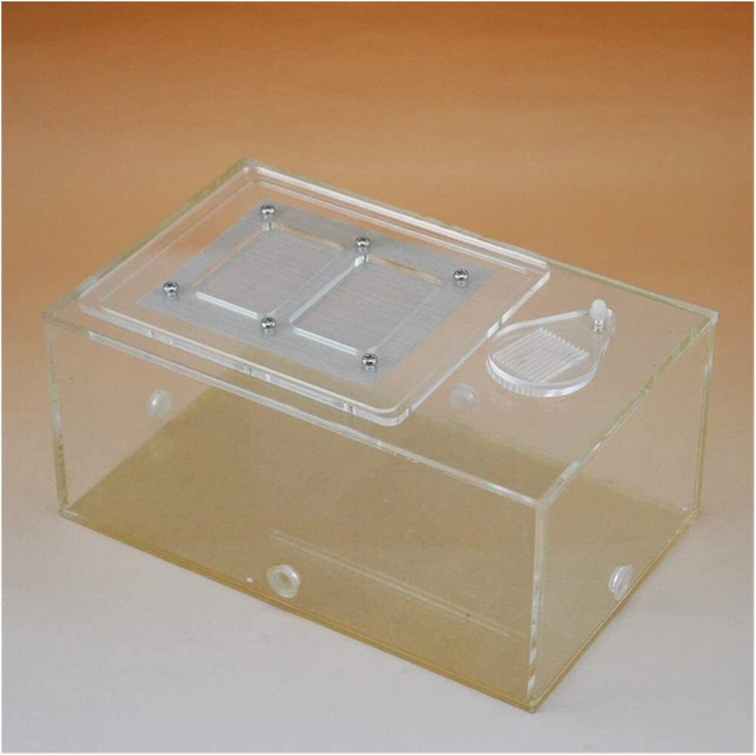 Ant Habitat Bug Cage Acrylic Box Pets Nest Feeding Area 19 * 12 * 9cm ...