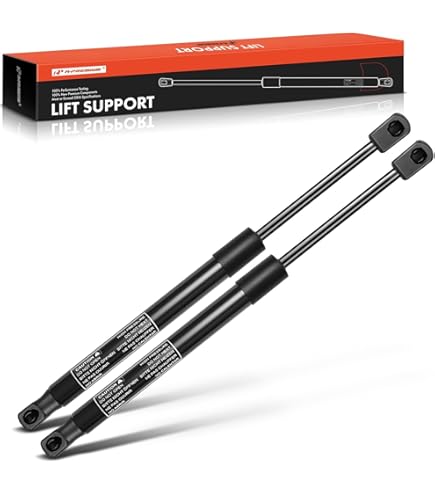 Hood Shock Absorber 2 Pack Euplokeer Hood Strut Lift Support (2-Pack ...