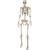 Amazon.com : 5.4ft Halloween Life Size Pirate Skeleton Realistic Human ...