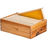 Amazon.com : 10-Frame Beehive Box Langstroth Medium Super Bee Box for ...