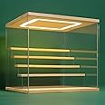 Amazon.com: NONEMEY Clear Acrylic Display Case Stand with LED Light 2/3 ...