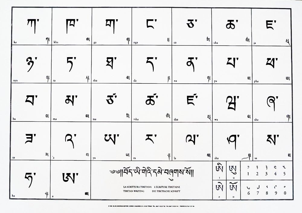 The Tibetan Alphabet. Poster 50 x 70 cm: Amazon.co.uk: Kitchen & Home