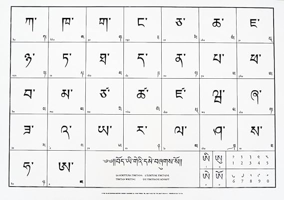 The Tibetan Alphabet. Poster 50 x 70 cm: Amazon.co.uk: Kitchen & Home