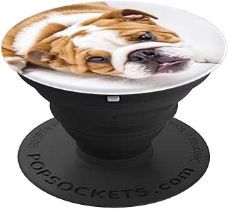 Amazon.com: English Bulldog Cute Dog Portrait Bulldogs Photo Dogs Gift ...