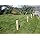 6 x 18 inch (45cm) Timber Reflective Keep Off Grass Verge Posts ...