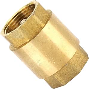 Check Valve - Inline Spring Check Valve | Anti-Backflow Check Valve ...