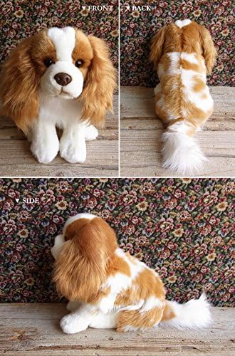 Cavalier King Charles Spaniel Dog (Blenheim) Floppy Soft Cuddly Toy 12 ...