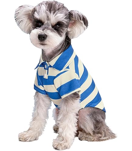 Camiseta Chivas Para Perros Club America For Life 💛💙🦅⚽ We