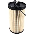 Amazon.com: K37-1004 Fuel Filter Replace PFF61653 PF9928 FS36401 ...