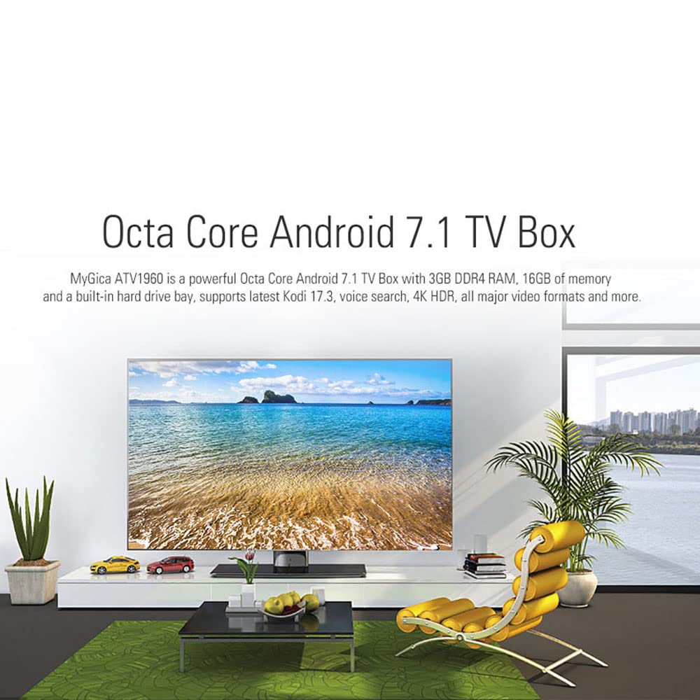 Mua MyGica ATV1960 Octa Core Android Smart TV Box,4K HD Streaming Media ...