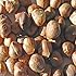 Amazon.com : Anna and Sarah Raw Oregon Hazelnuts (Filberts) in ...