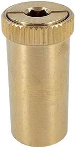 Amazon.com: Loop Loc Brass Anchor For Loop Loc Pool Cover: Garden & Outdoor