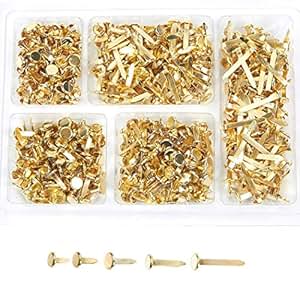 Amazon.com : Mini Brads - 500-Pieces Scrapbooking Brads, Paper ...