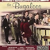 Amazon.com: The Bugaloos: - Firefly, Light My Fire; Courage Come Home ...