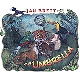 Annie and the Wild Animals: Jan Brett: 9780395510063: Books - Amazon.ca