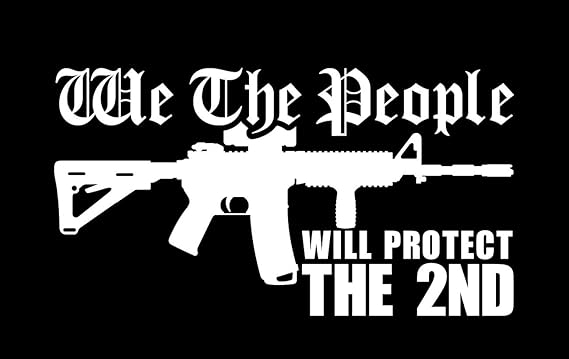 Amazon.com: Bamfdecals We The People AR15 Will Protect The 2nd ...