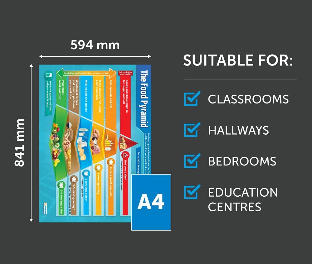 Food Pyramid | Science Posters | Laminated Gloss Paper measuring 850mm ...