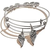 Amazon.com: Alex and Ani Womens Because I Love You A18BILY01RS Aunt Charm Bangle Bracelet ...