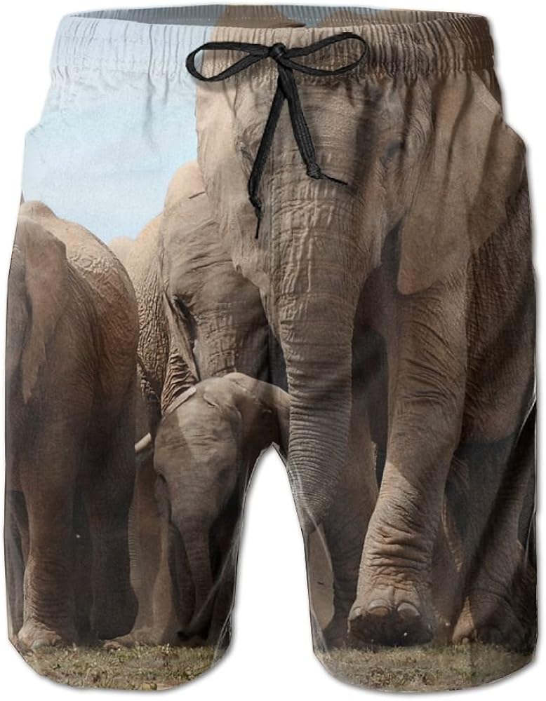PFZYJLJY Boardshort Elephant Men's Printed Summer Stretch Beach Shorts ...