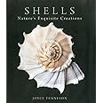Amazon.com: Shells: Nature's Exquisite Creations: 9780892729760 ...