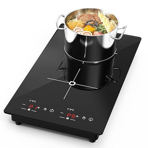 VBGK Double Induction Cooktop, 2300W 110V Portable Induction Cooktop ...