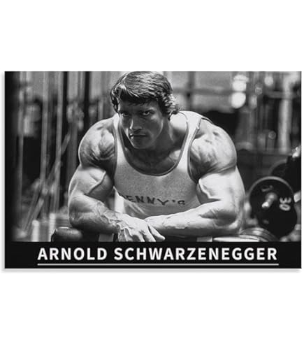 Arnold Schwarzenegger Enjoyment Poster