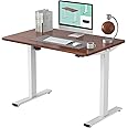 Amazon.com: FLEXISPOT EC1 Essential Electric Standing Desk Whole Piece 48 x 30 Inch Desktop ...