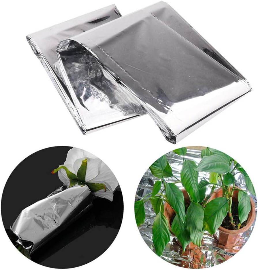 Best Reflective Materials Around Growing Area to Maximize Light Use