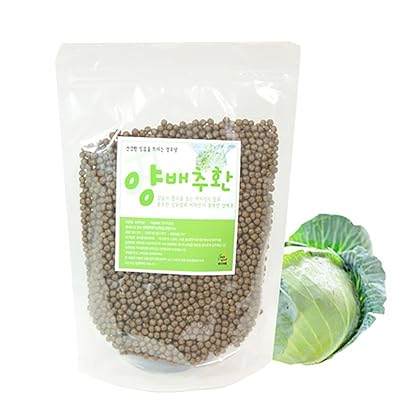 Jeongwoodang Cabbage Tablet - Strengthen Stomach, Relieve Skin Rash ...