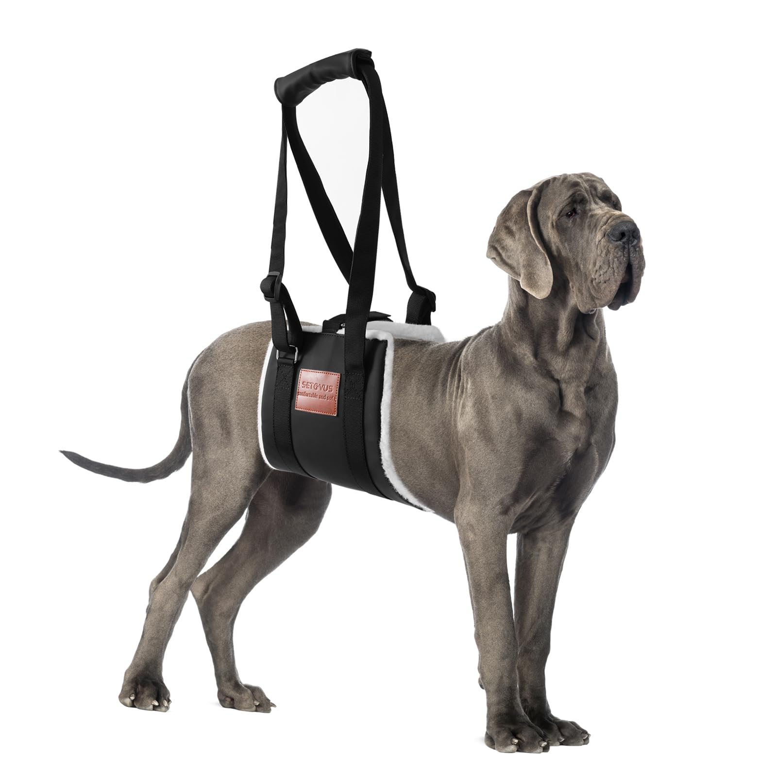 Mua S-ETOVUS Dog Sling for Back Legs, Dog Lift Harness, Velcro Dog ...