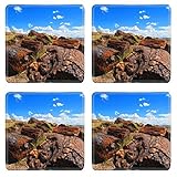 Petrified Wood Coasters - The Green Head