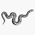 Amazon.com - Snake Vinyl Waterproof Sticker Decal Car Laptop Wall ...