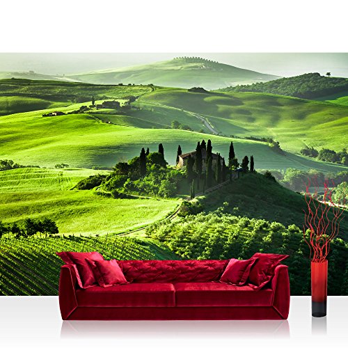 Gorgeous Funk with Tuscan Wall Murals - Funk This House : Funk This House