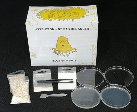 Slime mold culture kit: Amazon.co.uk: Business, Industry & Science