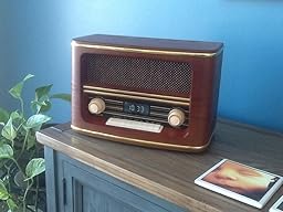 Amazon.com: Wolverine RSR100 Retro Table Top Bluetooth Speaker and AM ...