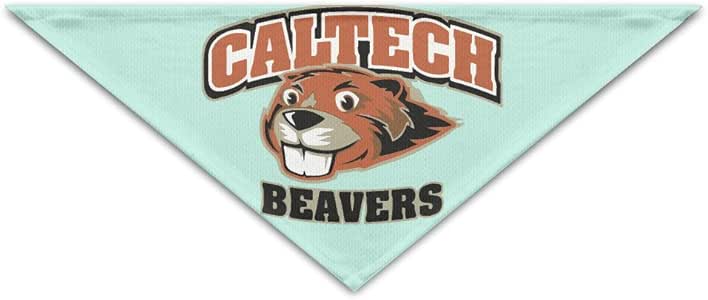 AoAoD Beaver Mascot Technology Caltech Pet Bandanas Saliva Towel ...