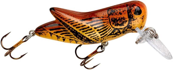 Amazon.com : Rebel Lures Crickhopper Cricket/Grasshopper Crankbait ...