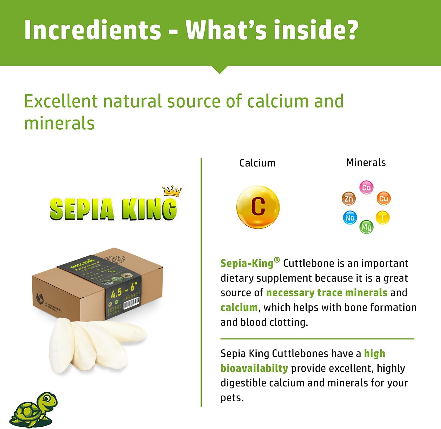 Mua Sepia King - Medium - 100% Natural Calcium Supplement - Premium ...