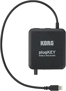 Amazon.com: Korg Audio Interface (PLUGKEYBK) : Musical Instruments