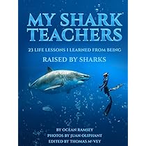 What You Really Need To Know About Sharks And Their Behavior The Five